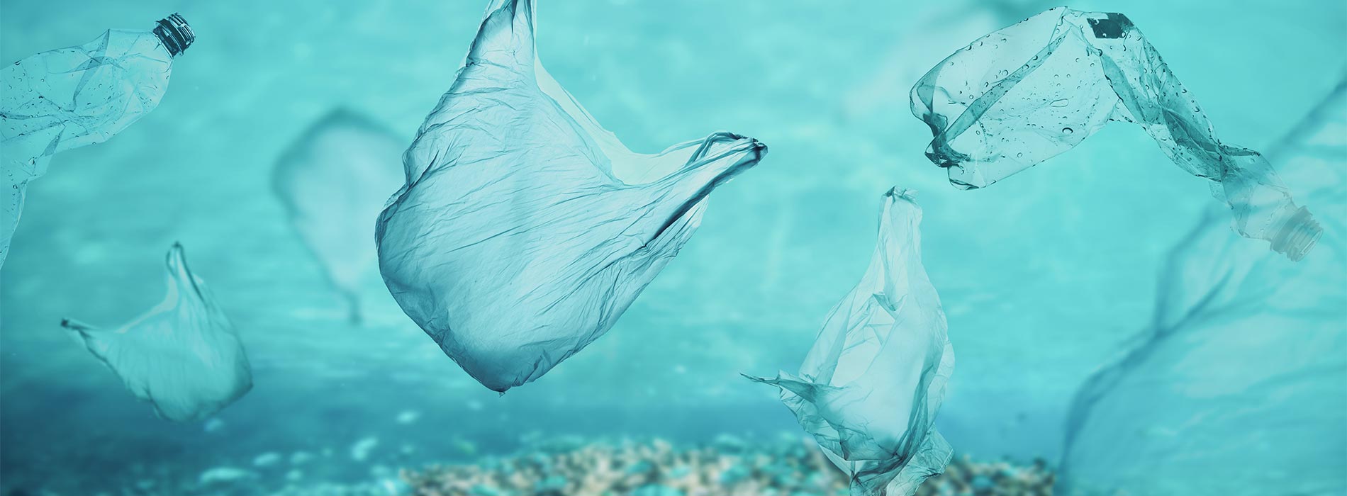 Single-Use Plastic Ban in New Zealand - We’ve Got You Covered | Castaway NZ